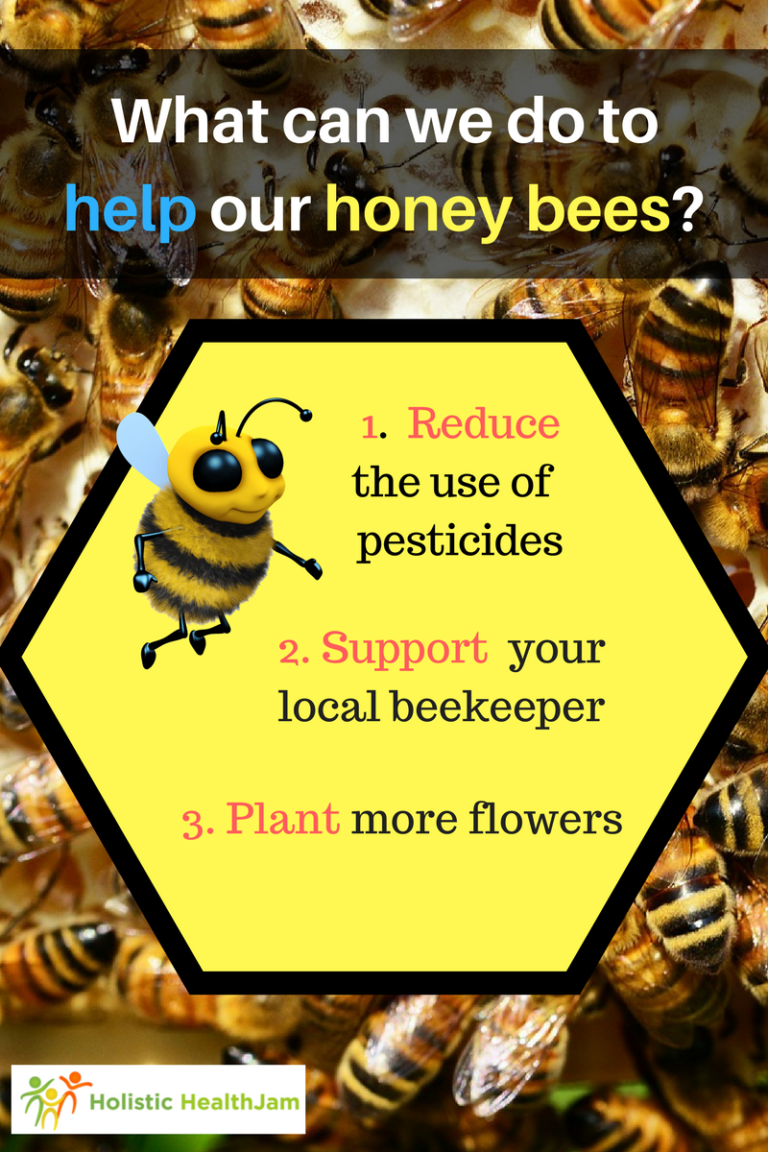 The Amazing Health Benefits of Propolis