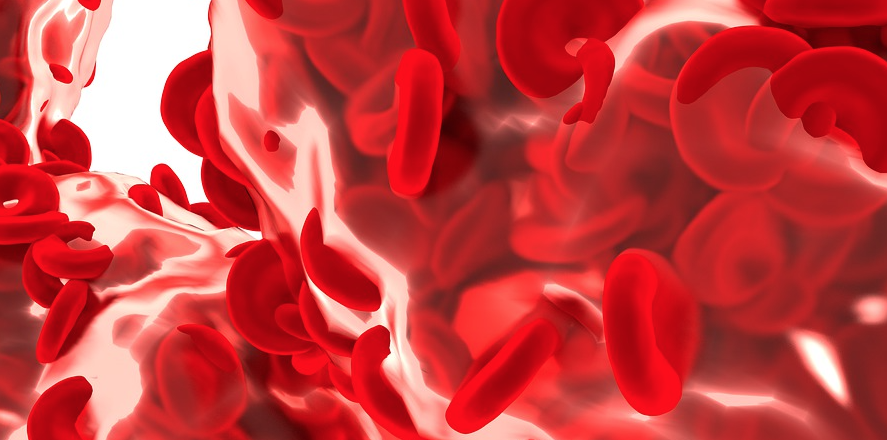 My Research on Copper and Health